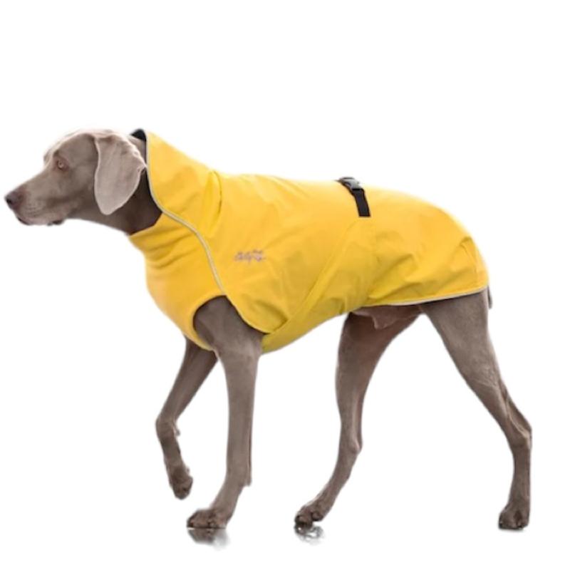 Regenmantel – Caluchi Petshop