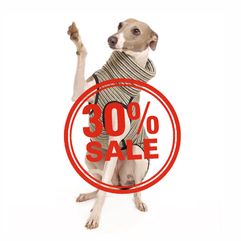 Caluchi Petshop style your dog