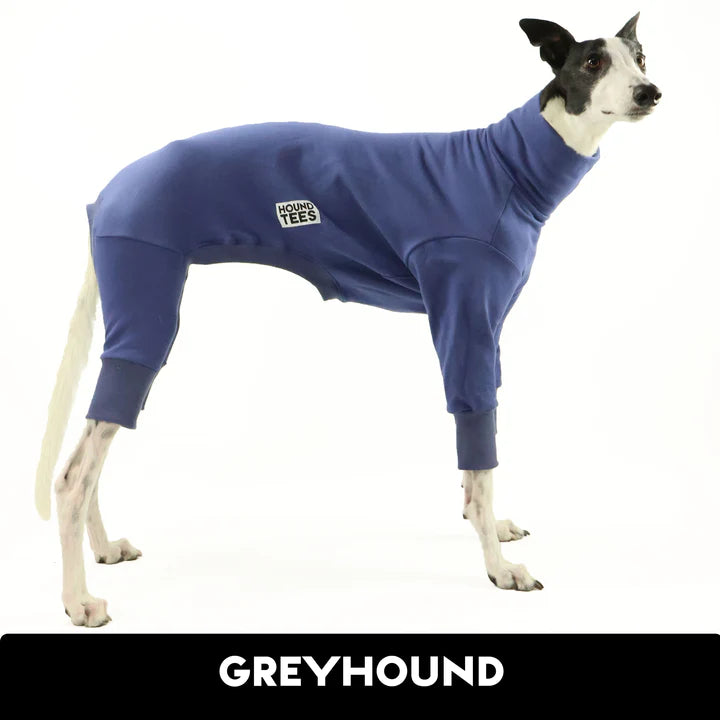 Blueberry Greyhound Snoot Suit – Caluchi Petshop
