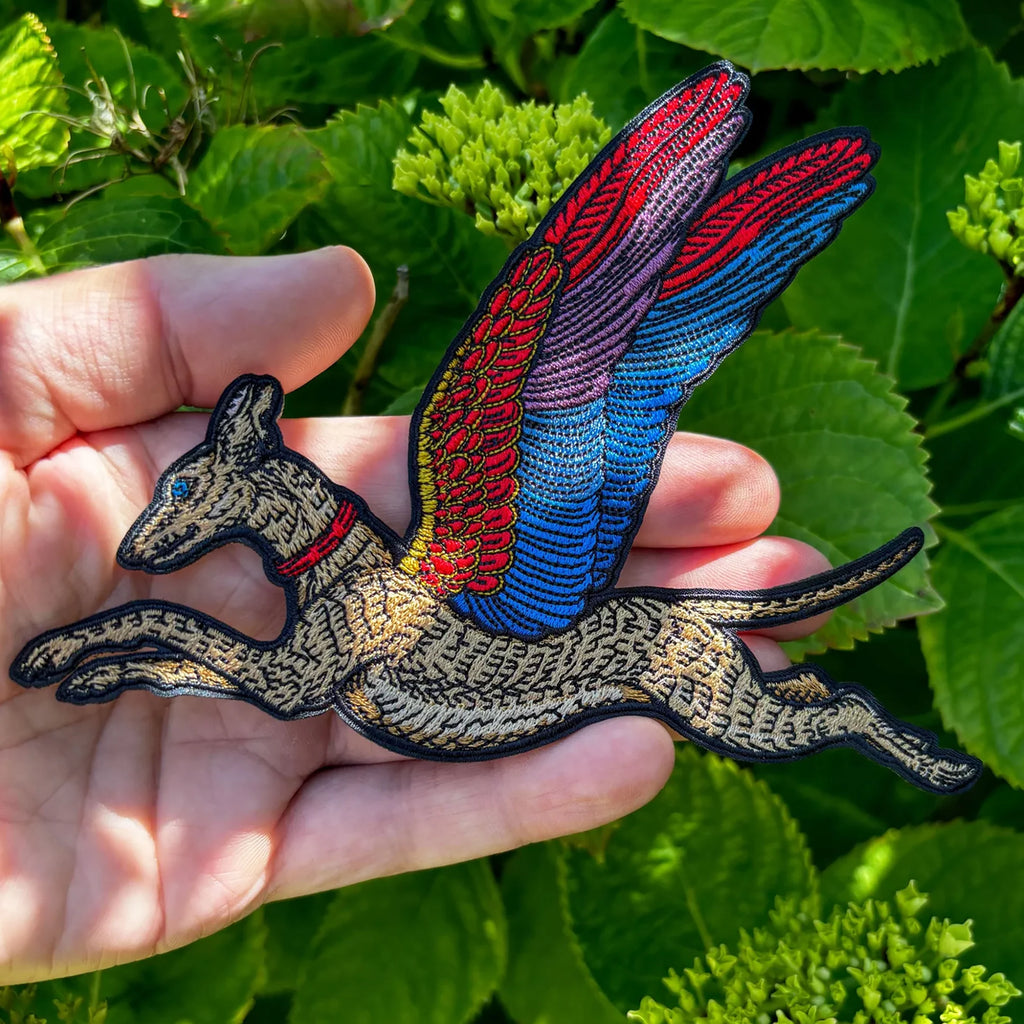 BRIGHT WING FLYER – Caluchi Petshop