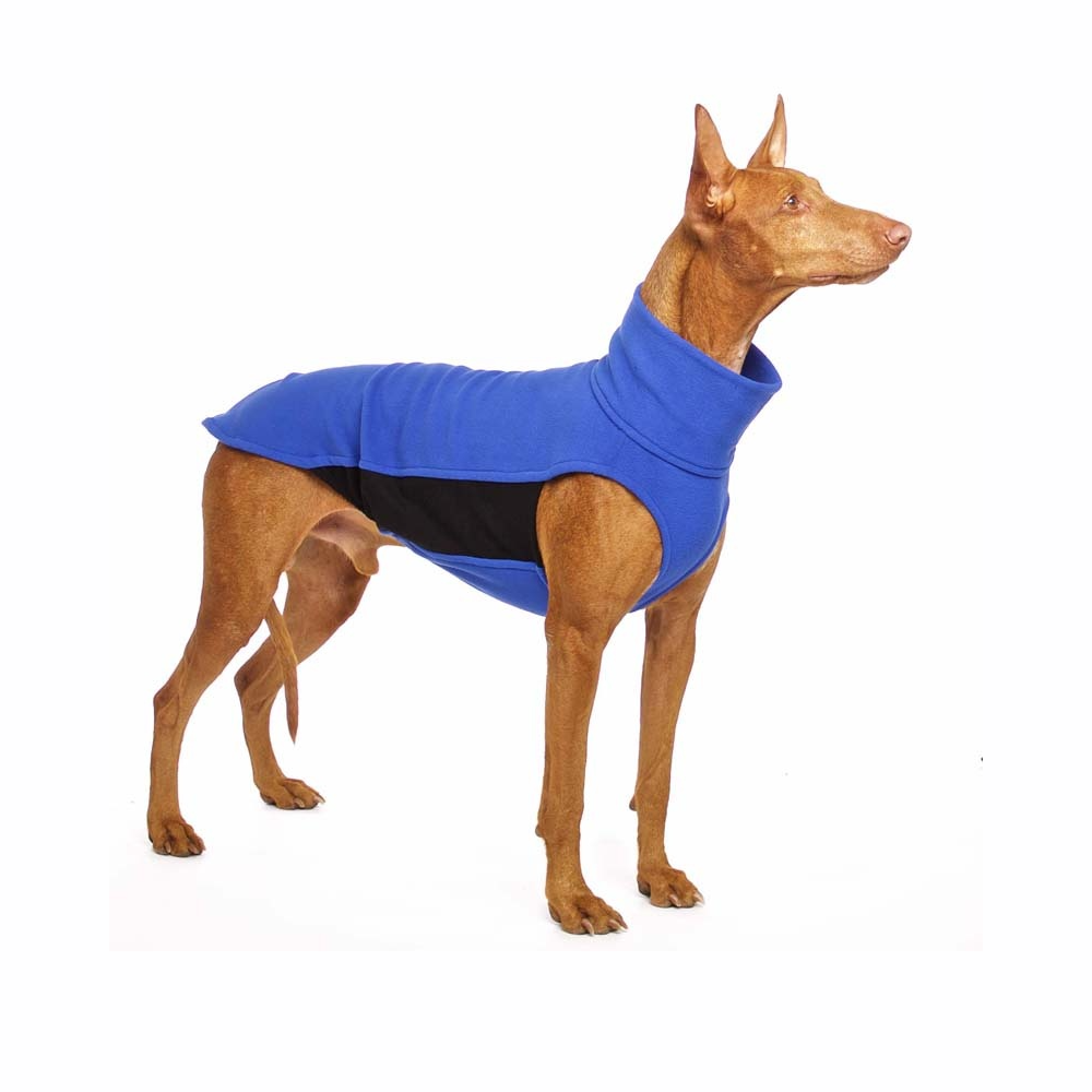 Hachico HOME – Caluchi Petshop